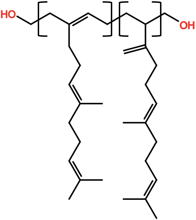 创新的原材料为聚氨酯胶粘剂和密封剂 - yobo官方网站