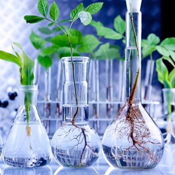 Cardolite将在2019 FEICA上讨论其新开发的高强度二醇 - yobo官方网站